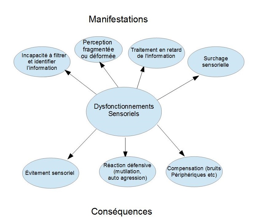 L'Autisme dans tous les sens - Aspieconseil