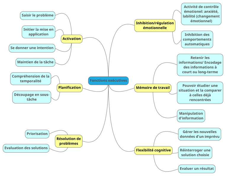 Les fonctions exécutives - Aspieconseil